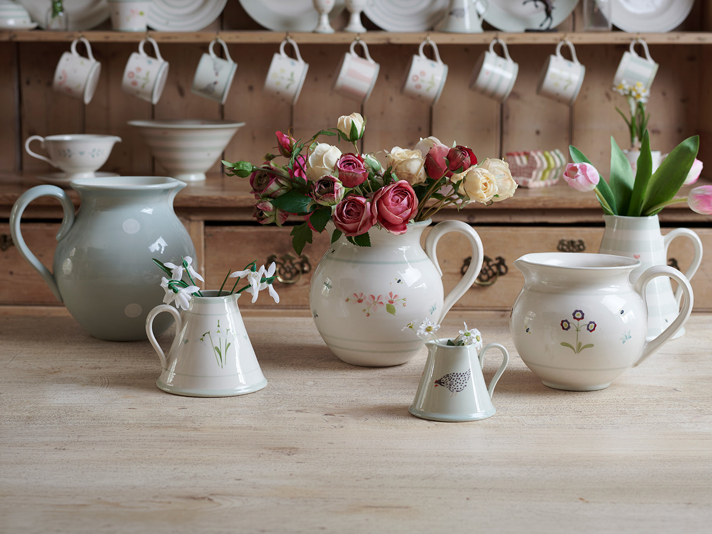 Jugs & Pitchers – Susie Watson Designs