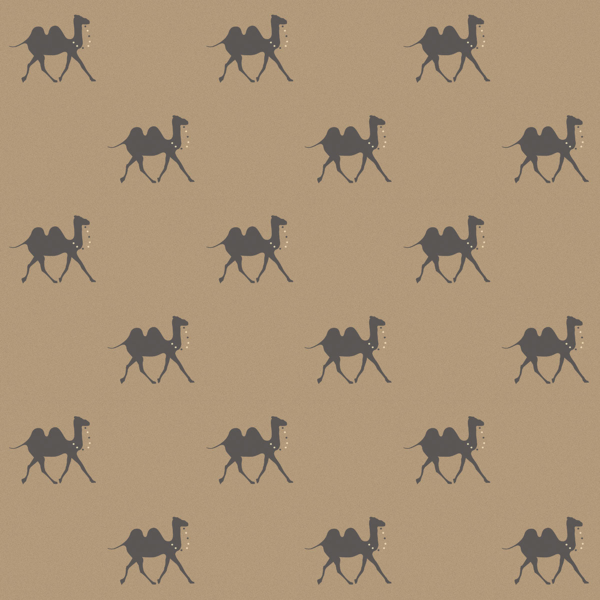 Charcoal Pushkar Wallpaper | Susie Watson Designs