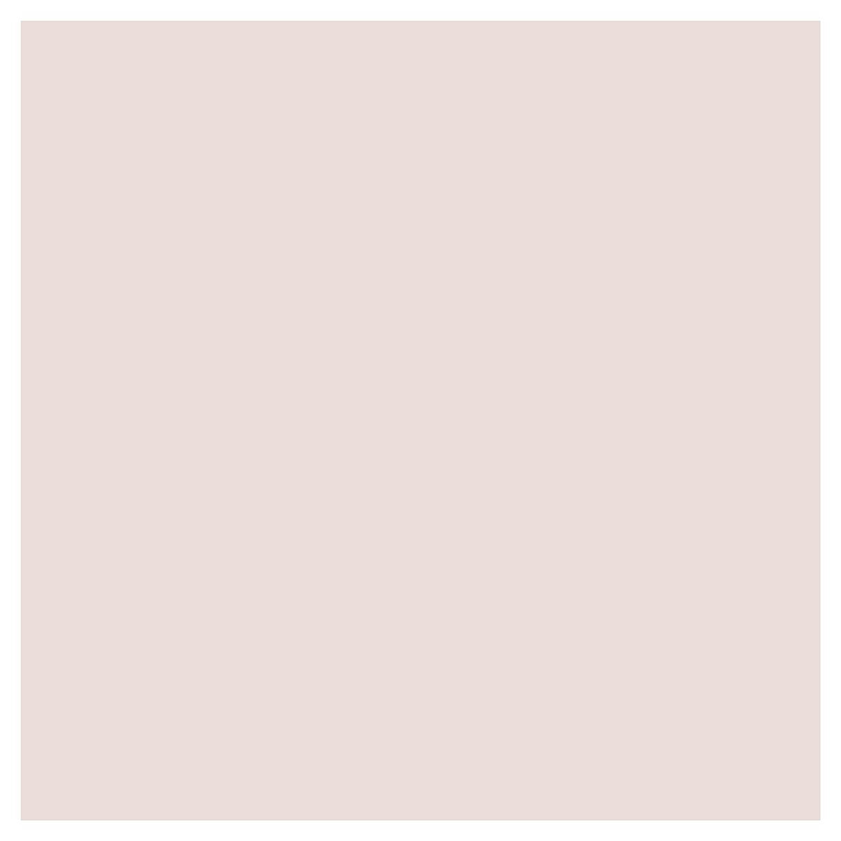 Pale Rose Umber Emulsion Paint - 2.5L | Susie Watson Designs