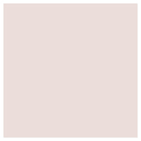 Pale Rose Umber Emulsion Paint - 2.5L | Susie Watson Designs