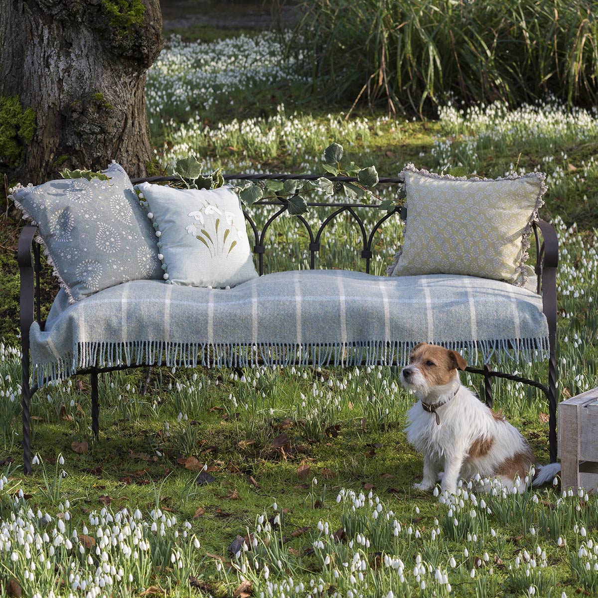 Duck Egg Ivory Check Shetland Wool Throw | Susie Watson Designs